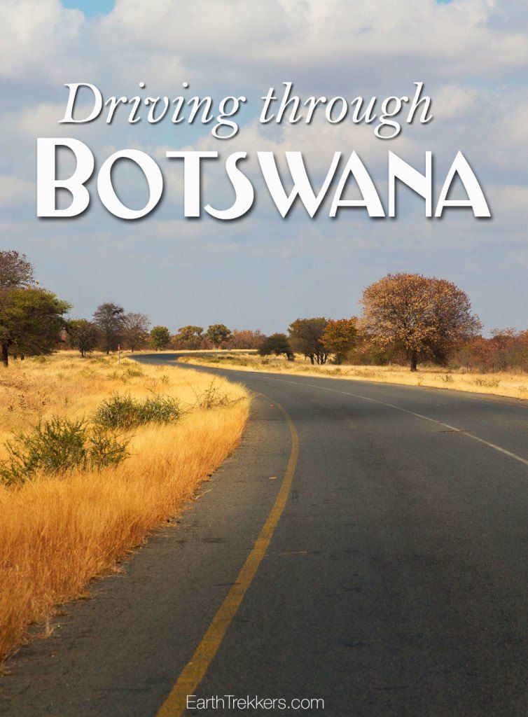 Driving in Botswana: What to Expect & Tips for the Best Experience