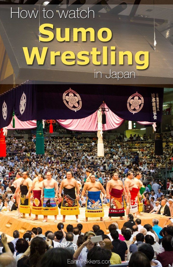 How To Watch Sumo Wrestling in Japan