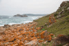 Hiking Robberg Peninsula in South Africa – Earth Trekkers