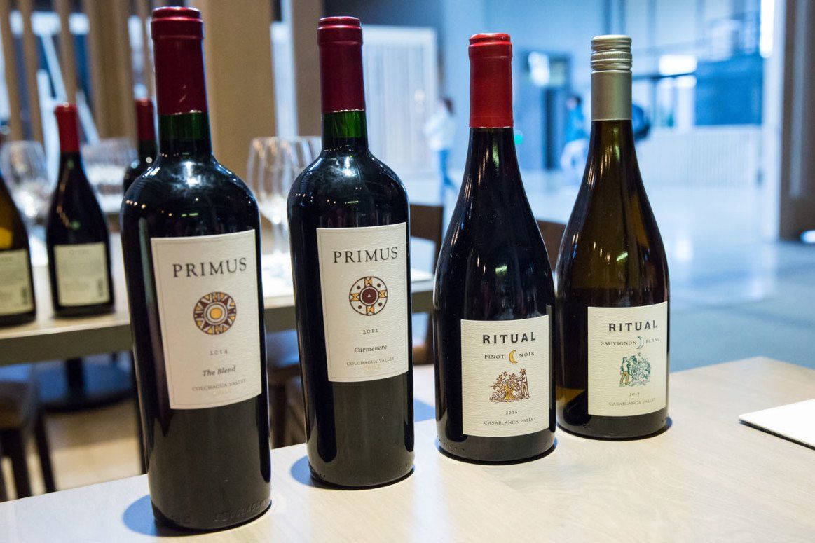 How to Visit Santiago Wine Regions Without Taking a Tour