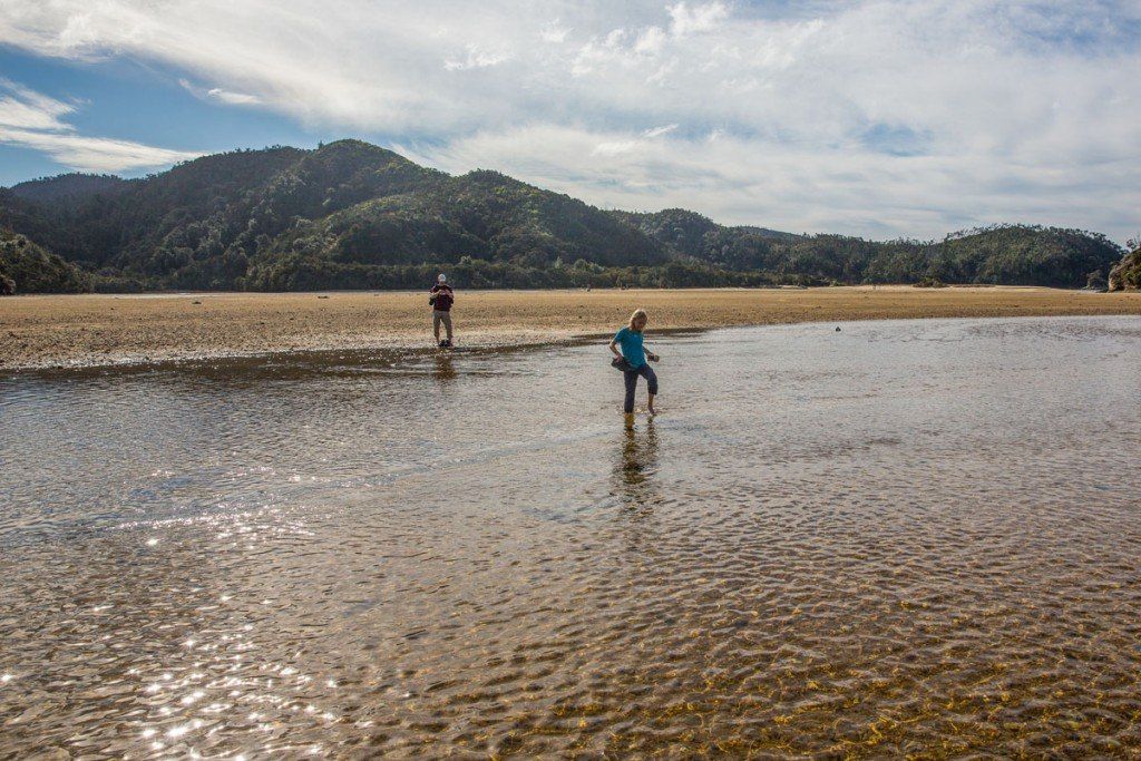 One Day in Abel Tasman National Park