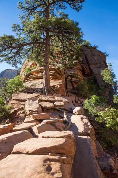How to Hike Angels Landing: Trail Guide & Video – Earth Trekkers