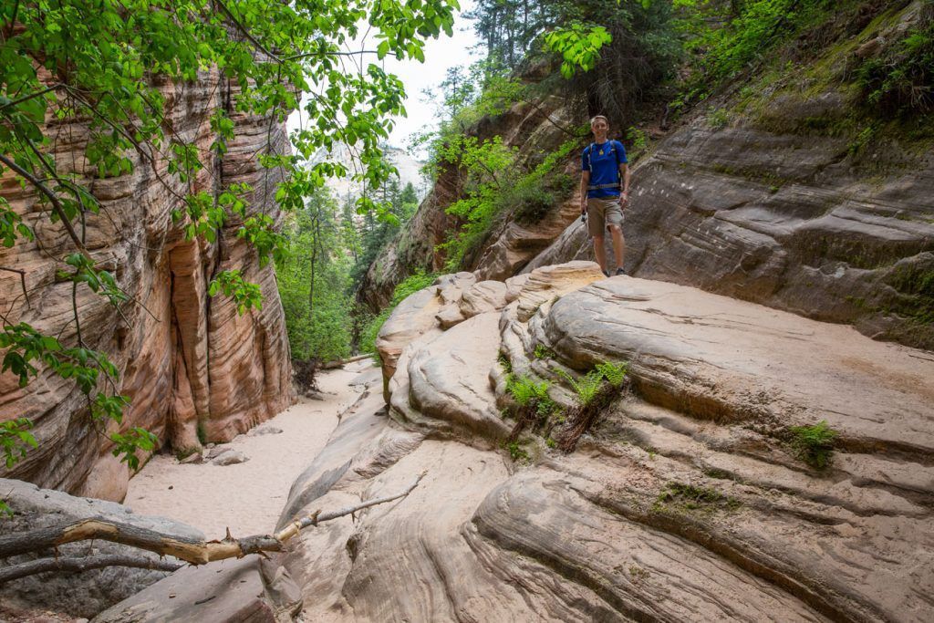 Hidden Canyon: An Unexpected Surprise in Zion National Park