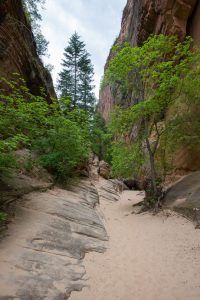 Hidden Canyon: An Unexpected Surprise in Zion National Park