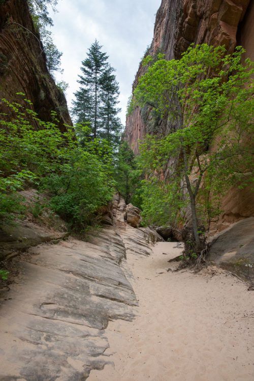 Hidden Canyon: An Unexpected Surprise in Zion National Park