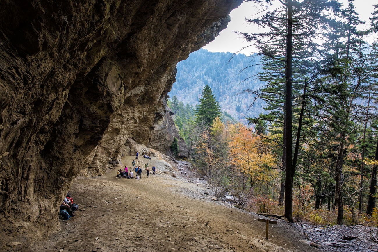 Hiking Mt. LeConte in the Great Smoky Mountains - Earth Trekkers