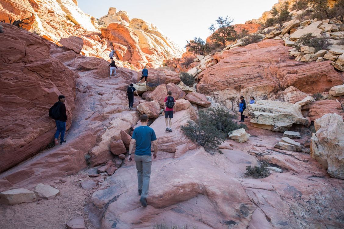 Two Fun, Short Hikes to do at Red Rock Canyon, Las Vegas – Earth Trekkers