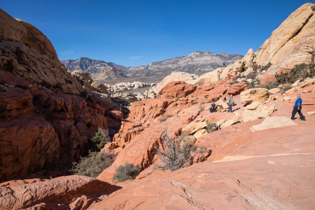 Two Fun, Short Hikes to do at Red Rock Canyon, Las Vegas – Earth Trekkers