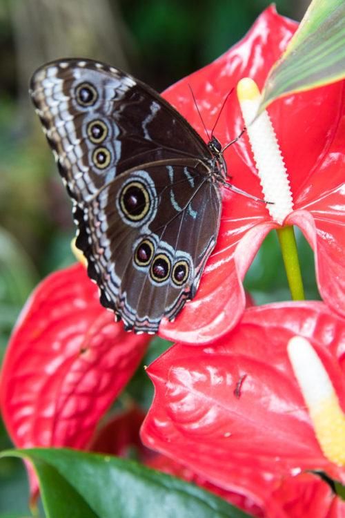 18 Great Things to Do in Key West, Florida