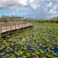 14 of the Best Things to do in Key West, Florida | Earth Trekkers