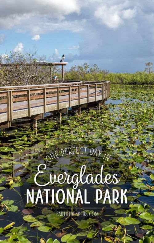 One Perfect Day in Everglades National Park