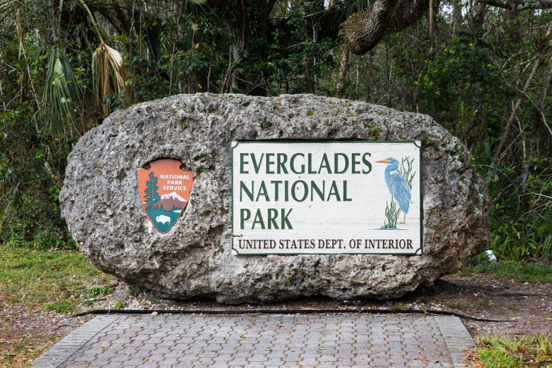 One Perfect Day in Everglades National Park – Earth Trekkers