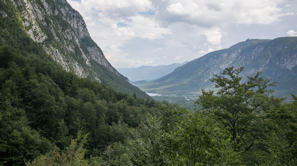 7 Great Things to Do at Lake Bohinj in the Summer – Earth Trekkers
