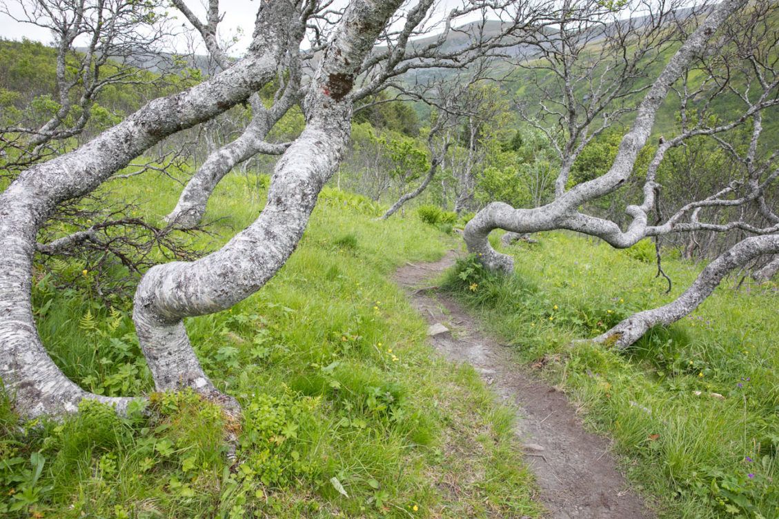 Hiking to Måtind on the Stave-Bleik Coastal Trail, Vesteralen, Norway