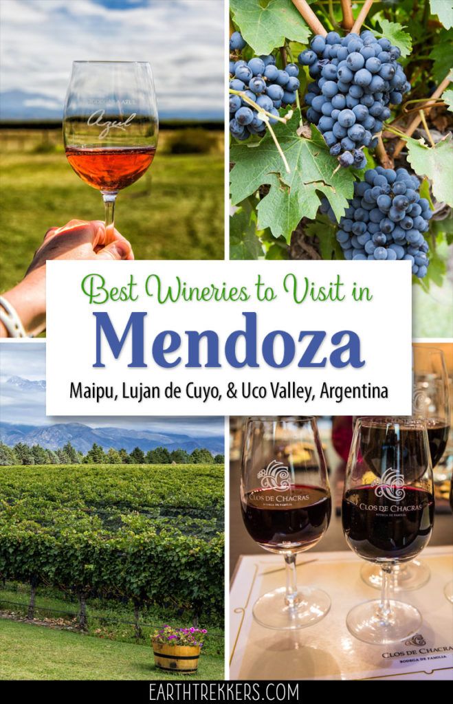 Mendoza Wine Region: How to Plan the Perfect Visit