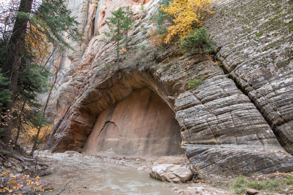 Journey through the Zion Narrows in Photos – Earth Trekkers