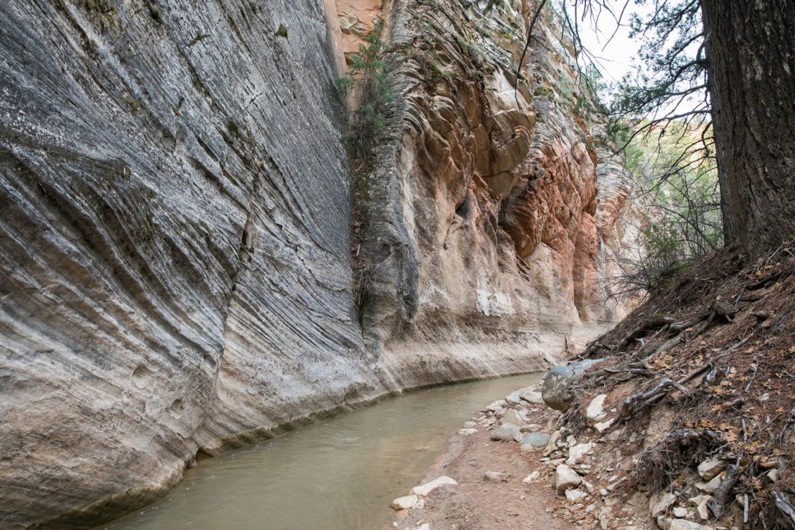 Journey through the Zion Narrows in Photos – Earth Trekkers
