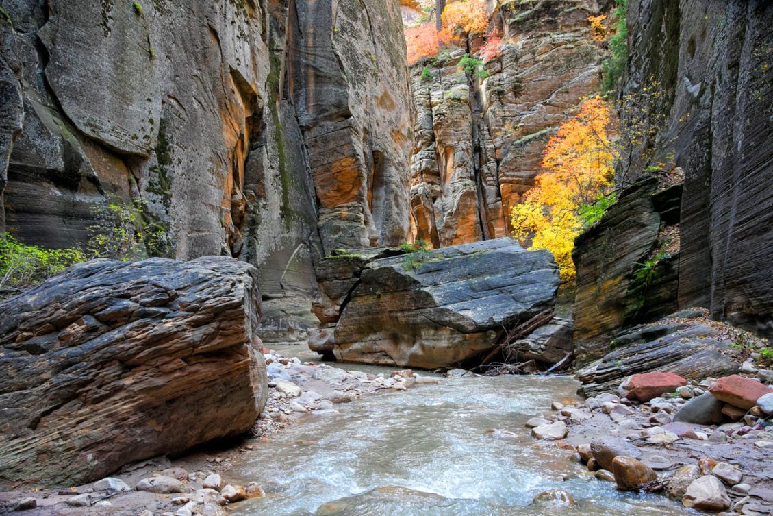 Journey through the Zion Narrows in Photos – Earth Trekkers