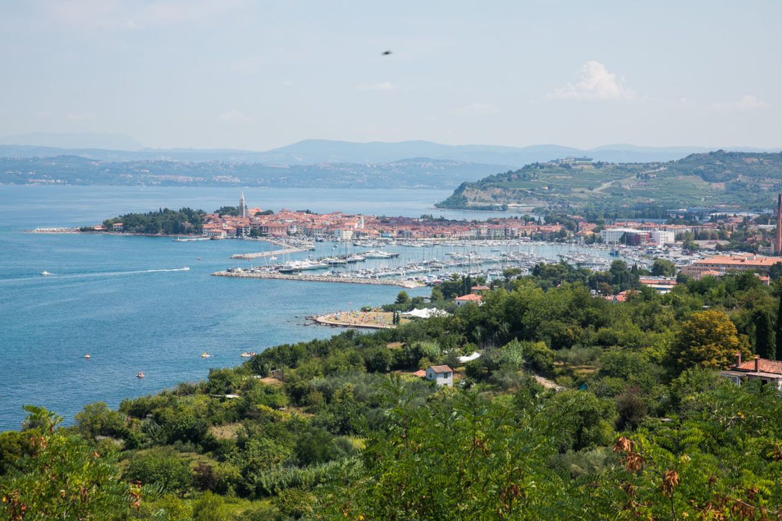 One Day in Piran and Koper: How to Plan Your Day Trip