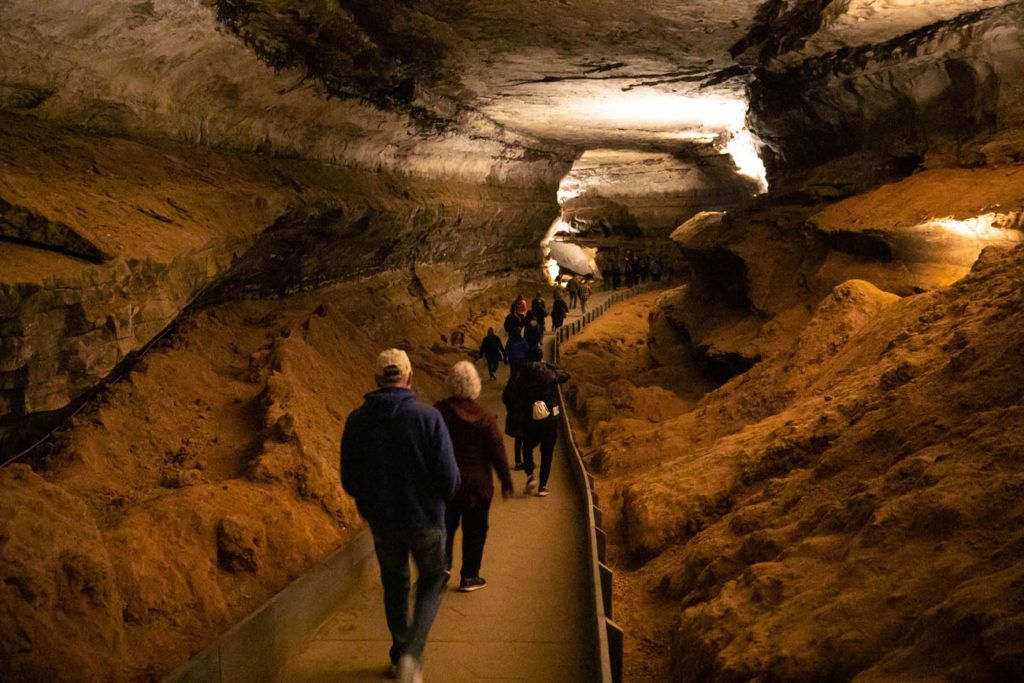Mammoth Cave National Park: How to Pick the Best Tour