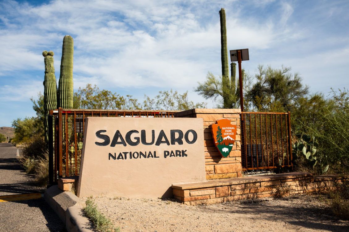 8 Amazing Things to Do in Saguaro National Park