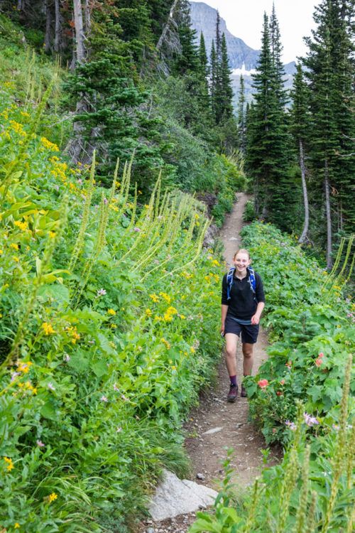 Highline Trail: Logan Pass to the Loop, Glacier National Park – Earth ...