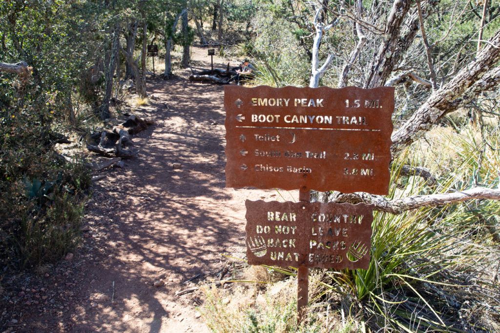 How to Hike to Emory Peak in Big Bend National Park – Earth Trekkers
