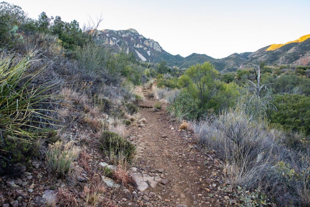 South Rim Trail Loop + Emory Peak | Ultimate Hiking Guide