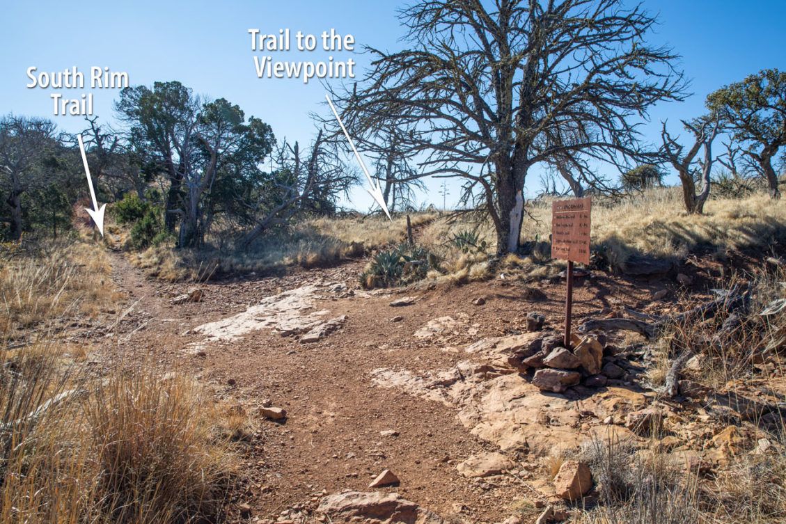 South Rim Trail Loop + Emory Peak | Ultimate Hiking Guide