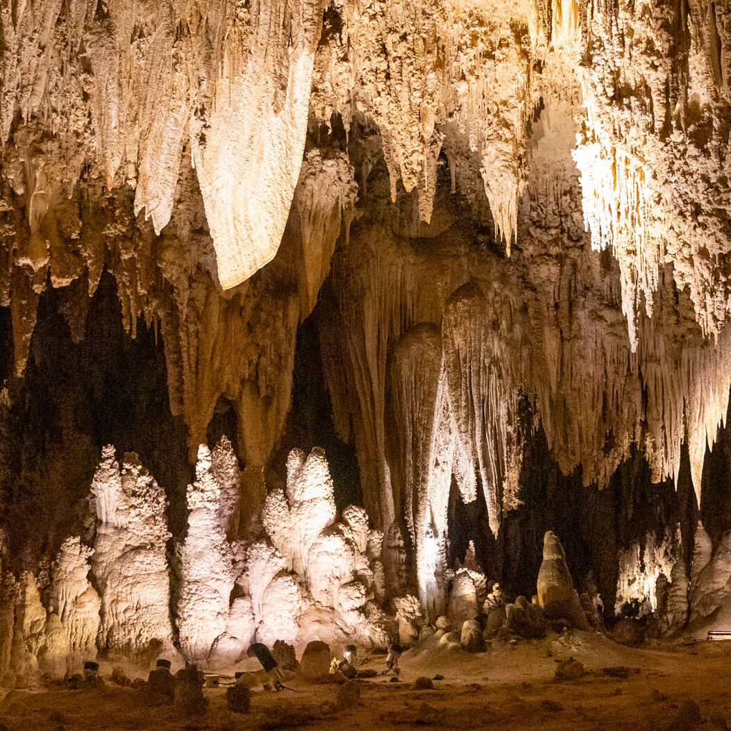 Carlsbad Caverns Logo New Mexico: What To See And Do At Carlsbad