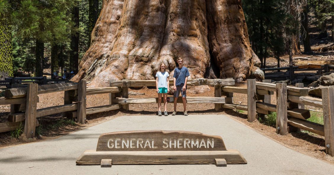 One Day Itinerary for Kings Canyon and Sequoia National Parks – Earth ...