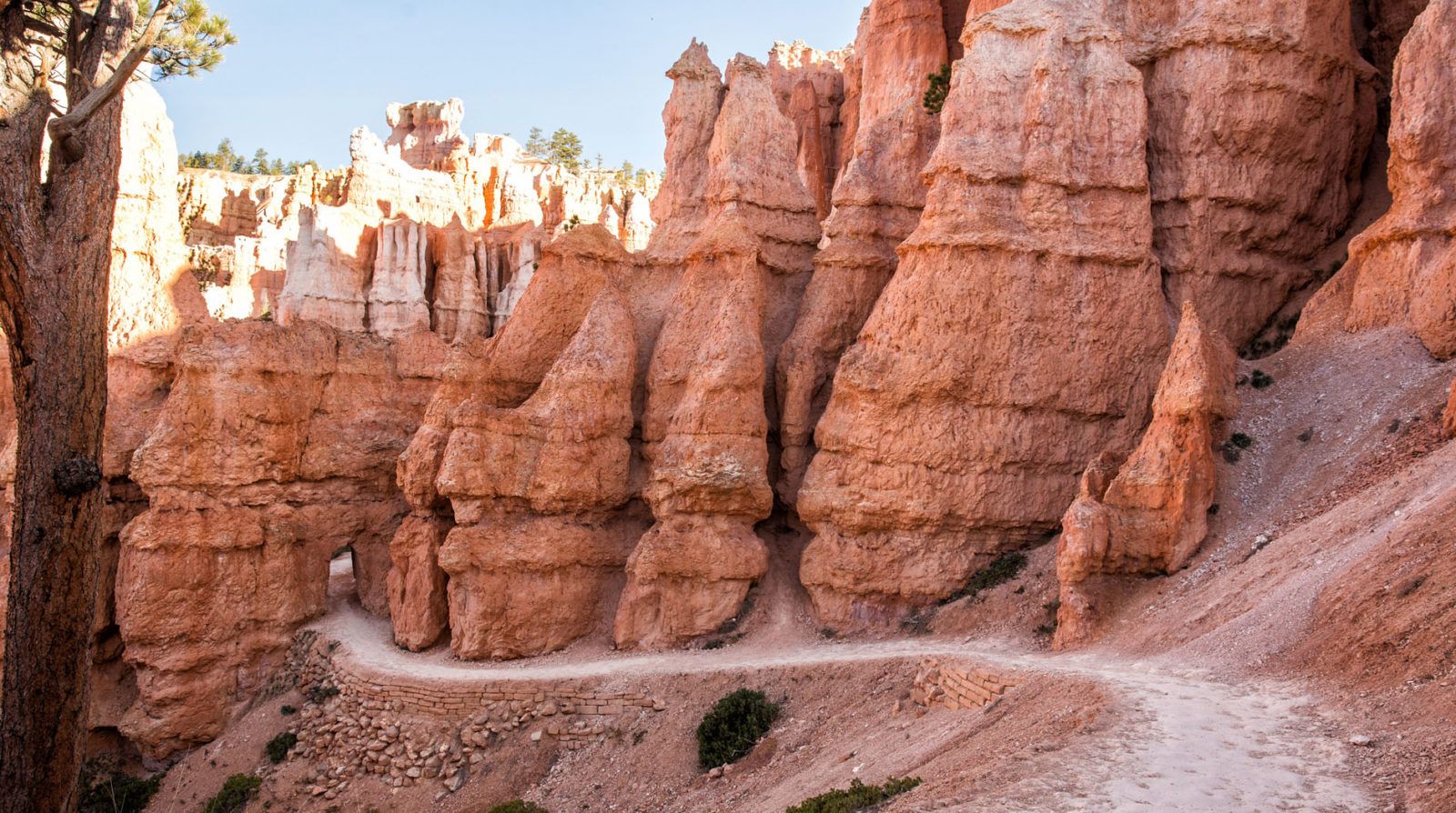The Amazing Fairyland Loop: An Underrated Hike in Bryce Canyon