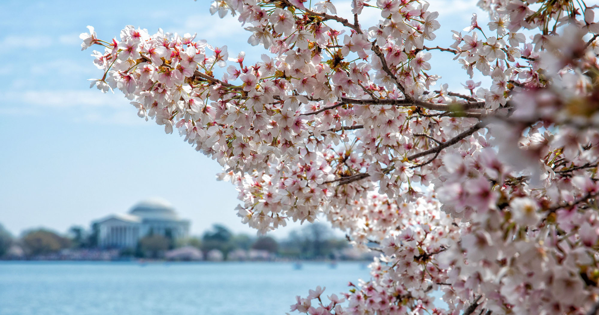 Walking Map Of Washington Dc Attractions - Infoupdate.org