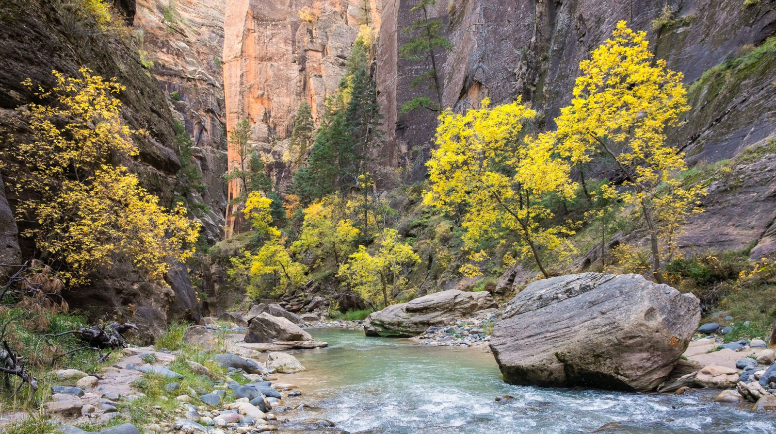 10 Great Hikes in Zion National Park: Which One Will Be Your Favorite?
