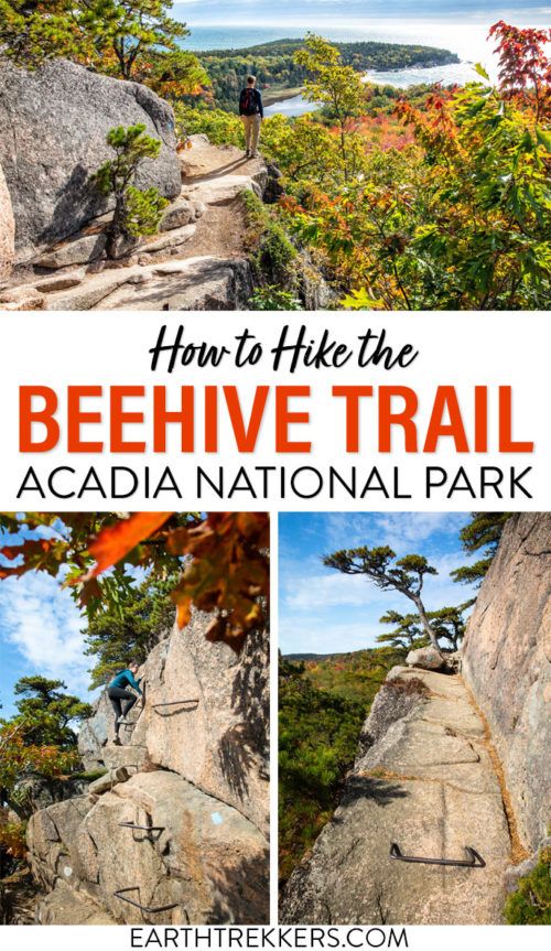 The Beehive Trail Guide: What to Know Before You Hike