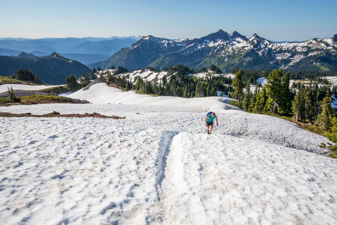 Skyline Trail Loop & Panorama Point, Mount Rainier National Park ...