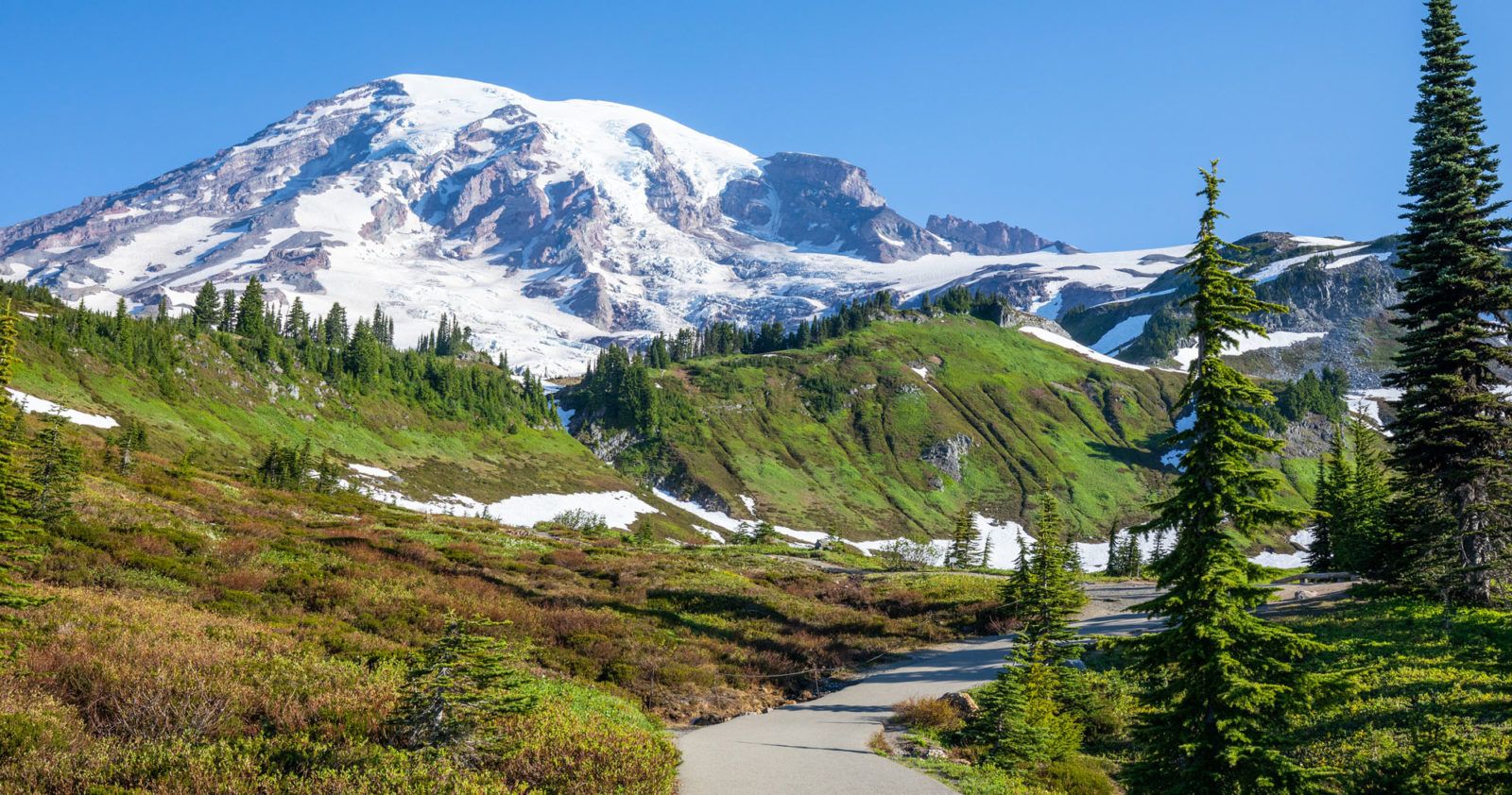 Skyline Trail Loop: A Step-by-Step Guide to Rainier’s Most Iconic Views