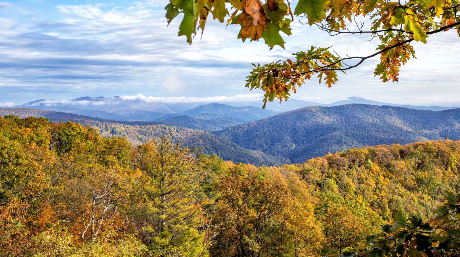 10 Great Hikes in Shenandoah National Park – Earth Trekkers