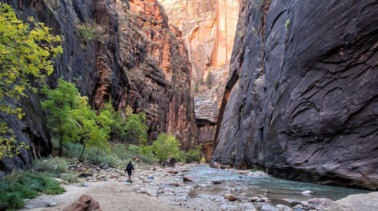 10 Things to Do in Zion National Park (No Hiking Required)