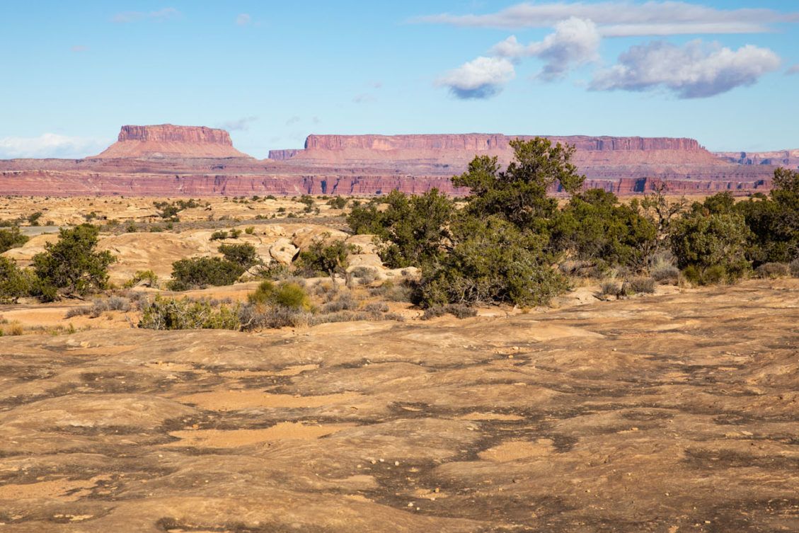 12 Amazing Things to Do in The Needles, Canyonlands National Park ...