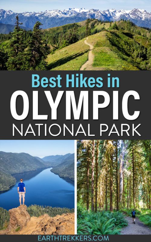 Best Hikes in Olympic National Park (2026 Guide)