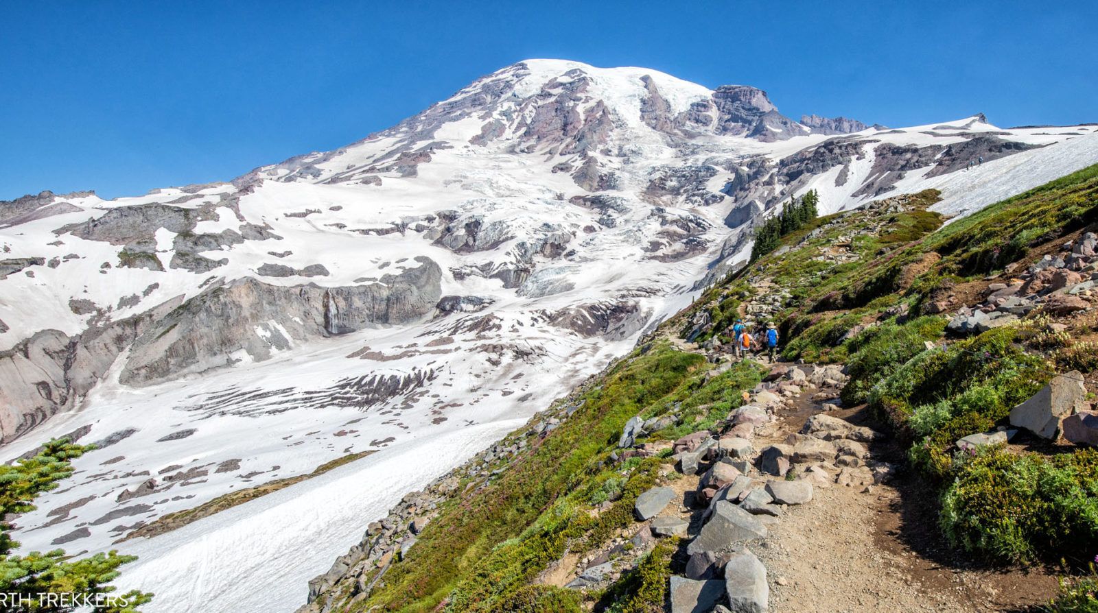 Exactly How to Hike Skyline Trail Loop & Panorama Point, Mount Rainier