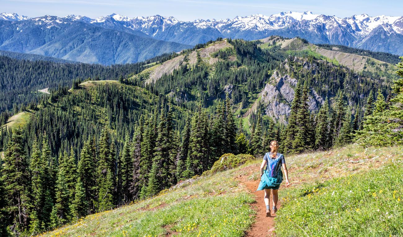 17 Great Hikes In Olympic National Park Map Photos 