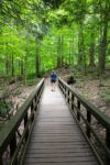 The Ledges Trail, A Must-Do Hike in Cuyahoga Valley National Park ...