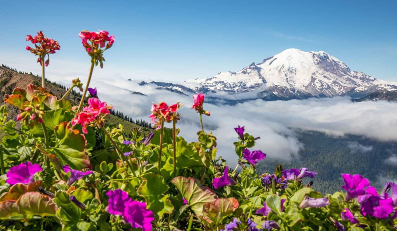Washington National Parks: Travel Guide & Itinerary