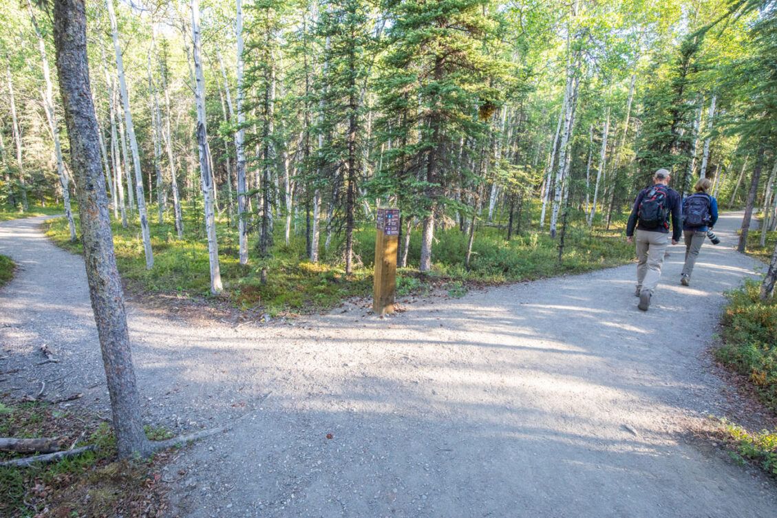 Mount Healy Overlook Trail | Step-By-Step Guide, Stats, Photos – Earth ...
