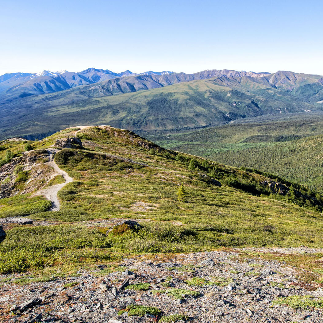 The Overlook Alaska The Alaska Frontier | "The View From Stony Hill