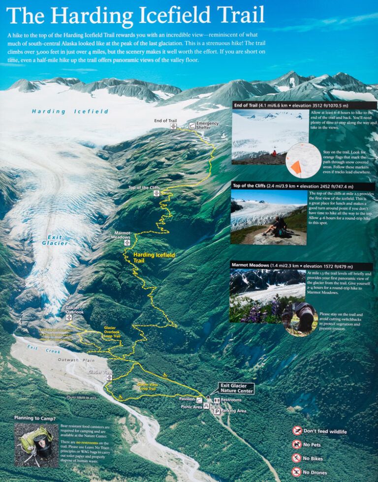 Harding Icefield Trail: The Ultimate Hiking Guide – Earth Trekkers