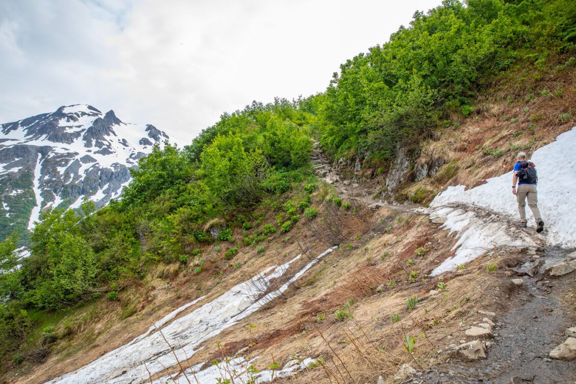 Harding Icefield Trail: The Ultimate Hiking Guide – Earth Trekkers