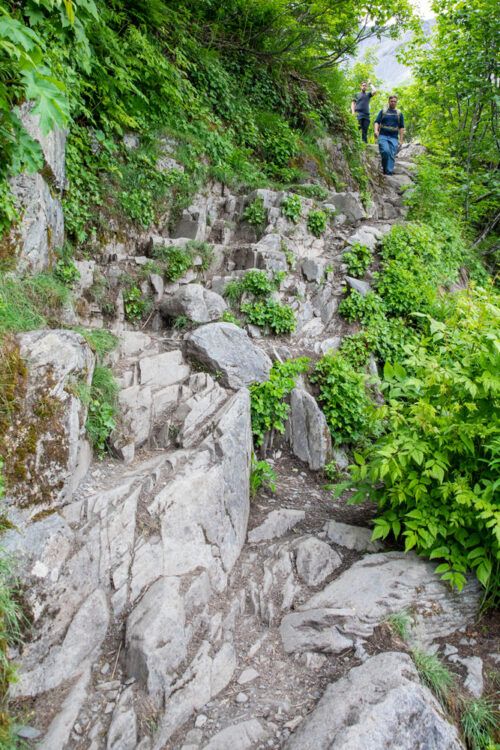 Harding Icefield Trail: The Ultimate Hiking Guide – Earth Trekkers